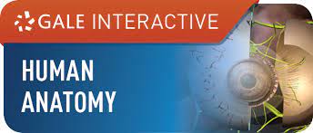 Gale Interactive: Human Anatomy | 1EdTech